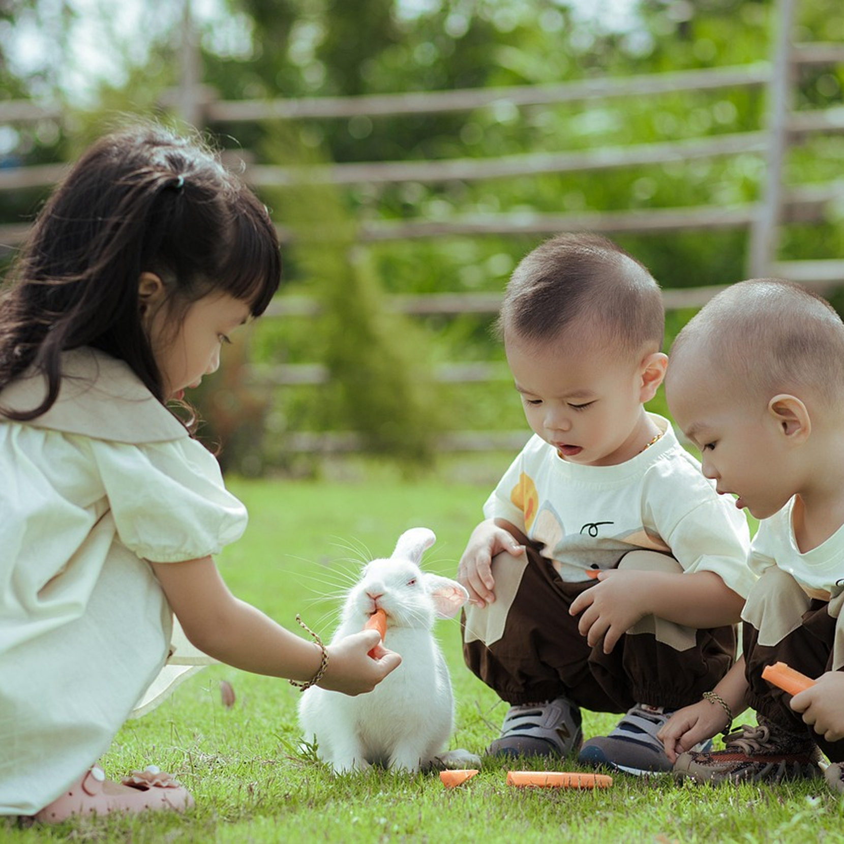 OT Assessment and Intervention | Paediatric OT Services NSW